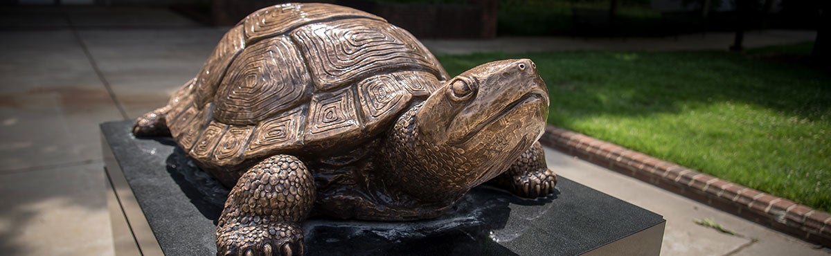 Courses | Maryland Smith